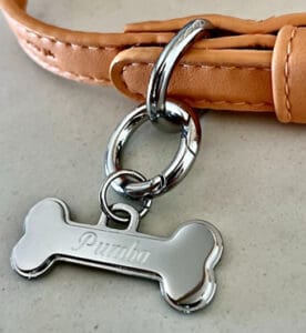 Jasa Name Tag Hewan Custom: Tersedia Pilihan Bahan