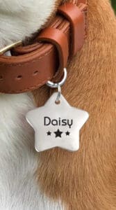 Jasa Name Tag Hewan Custom: Tersedia Pilihan Bahan